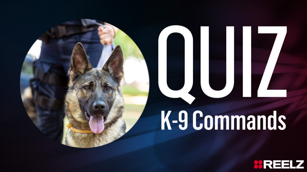 Reelz Quizzes - REELZ