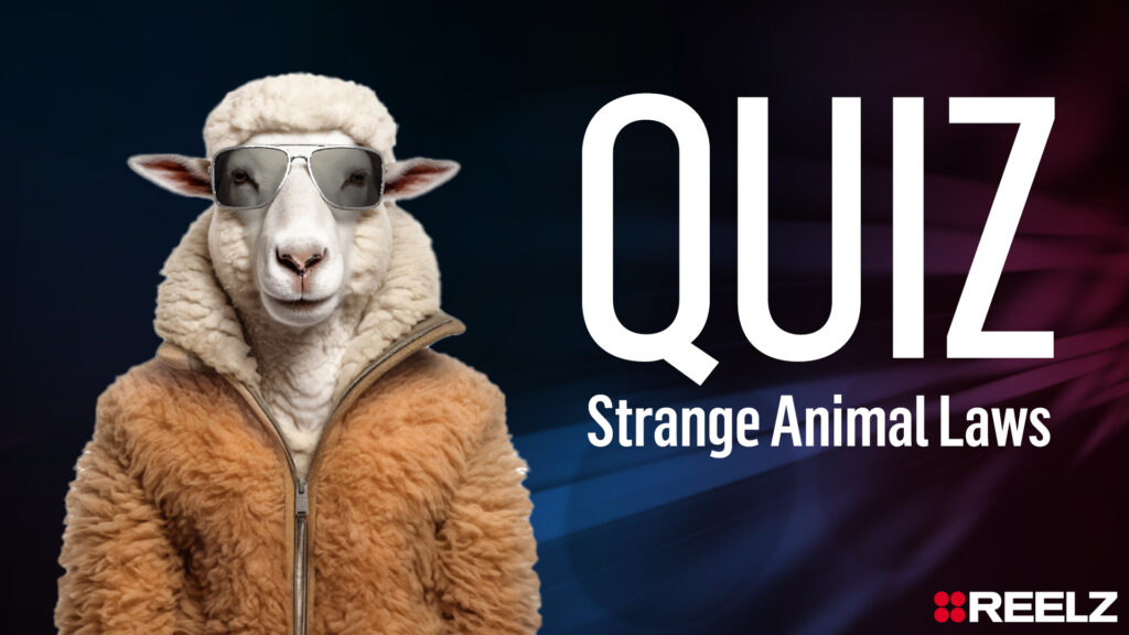 Reelz Quizzes - REELZ