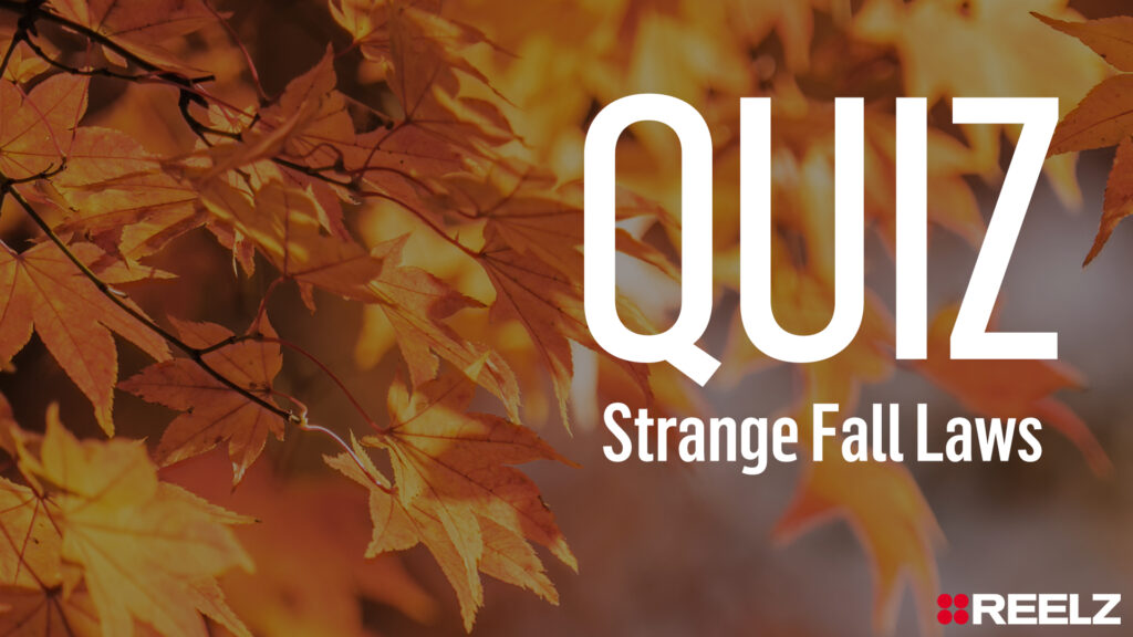 Reelz Quizzes - REELZ