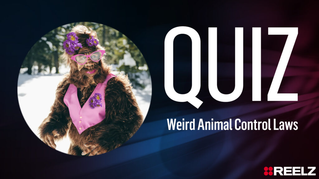 Reelz Quizzes - REELZ